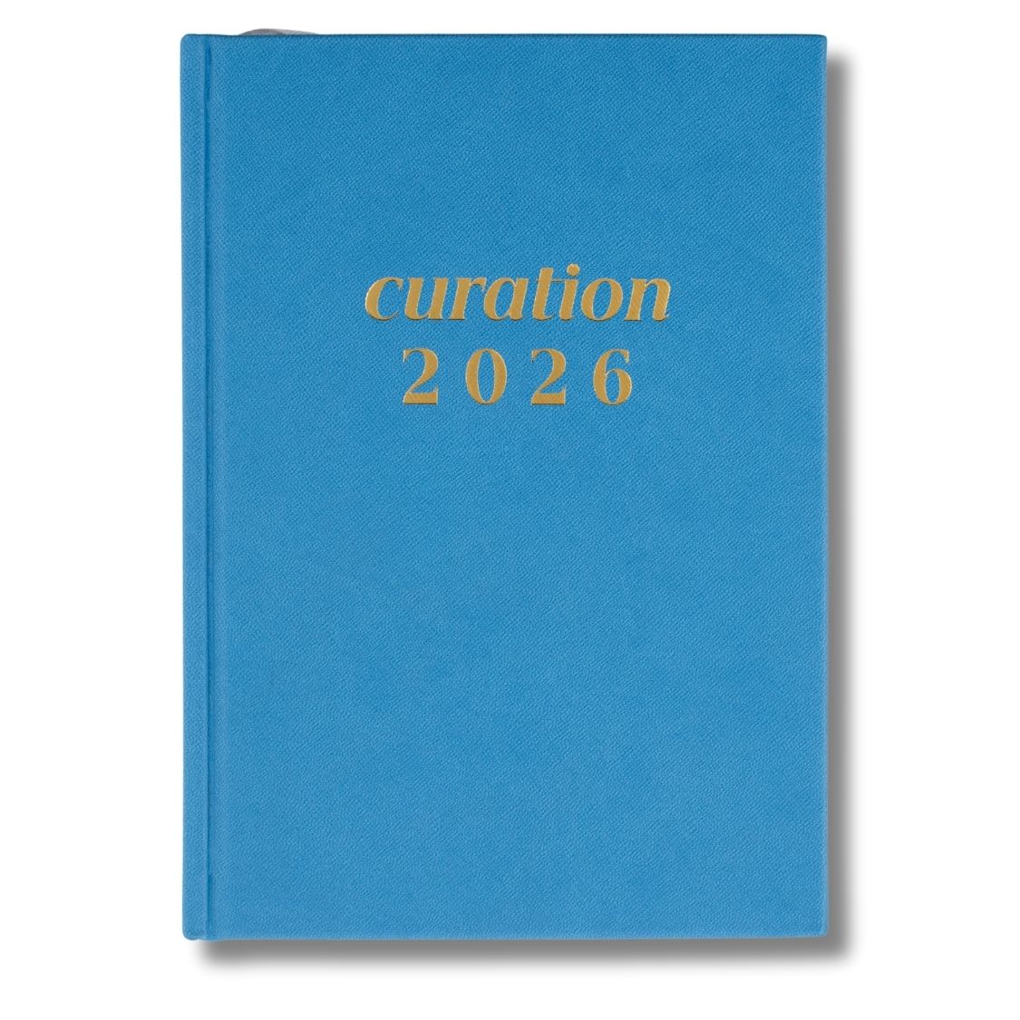 Curation 2026 Planner (Daily) | Day To A Page 2026 Planner - Saint ...